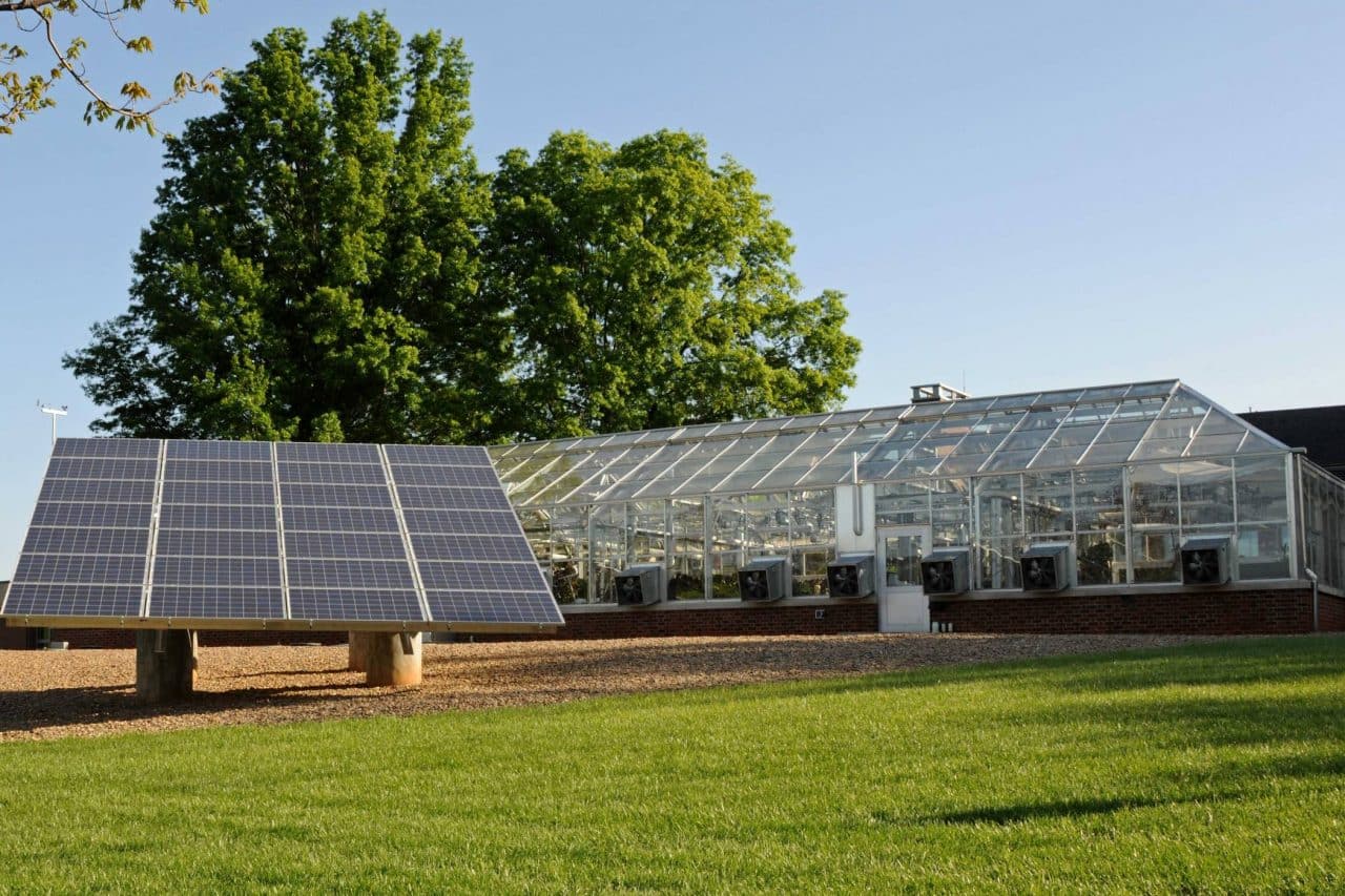 Hydroponic Farming With Solar Energy - Advanced Solar