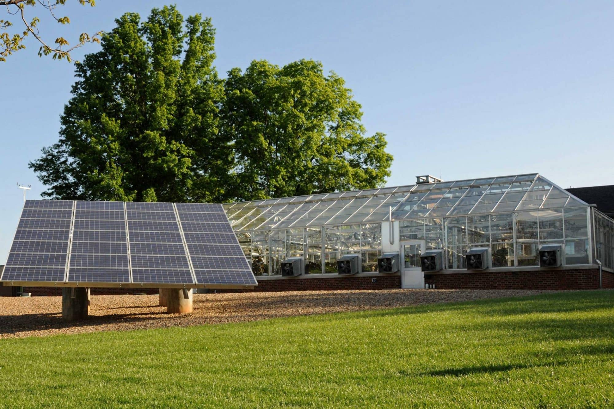 Hydroponic Farming With Solar Energy - Advanced Solar